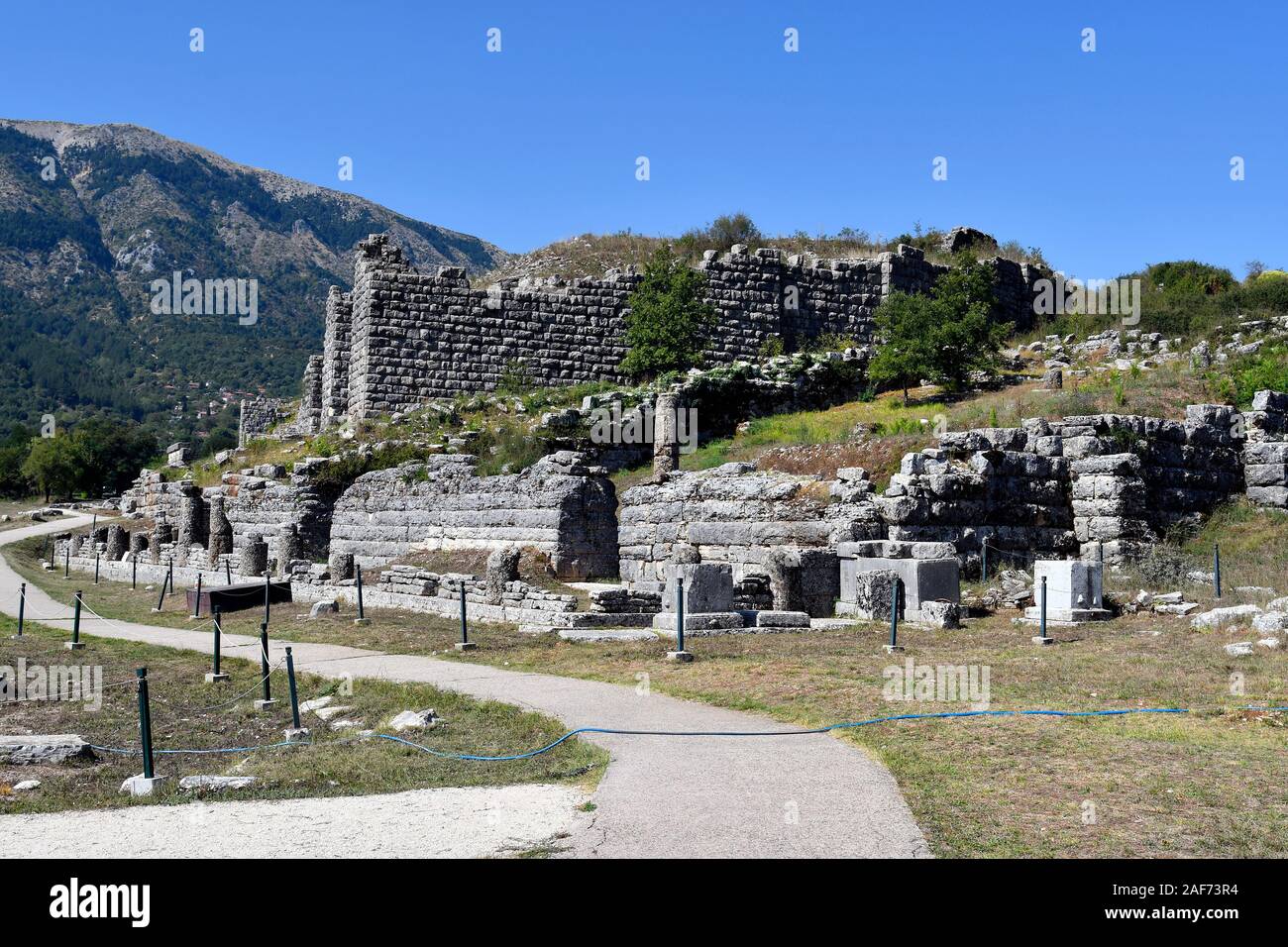 Zeus oracle Banque de photographies et d’images à haute résolution - Alamy