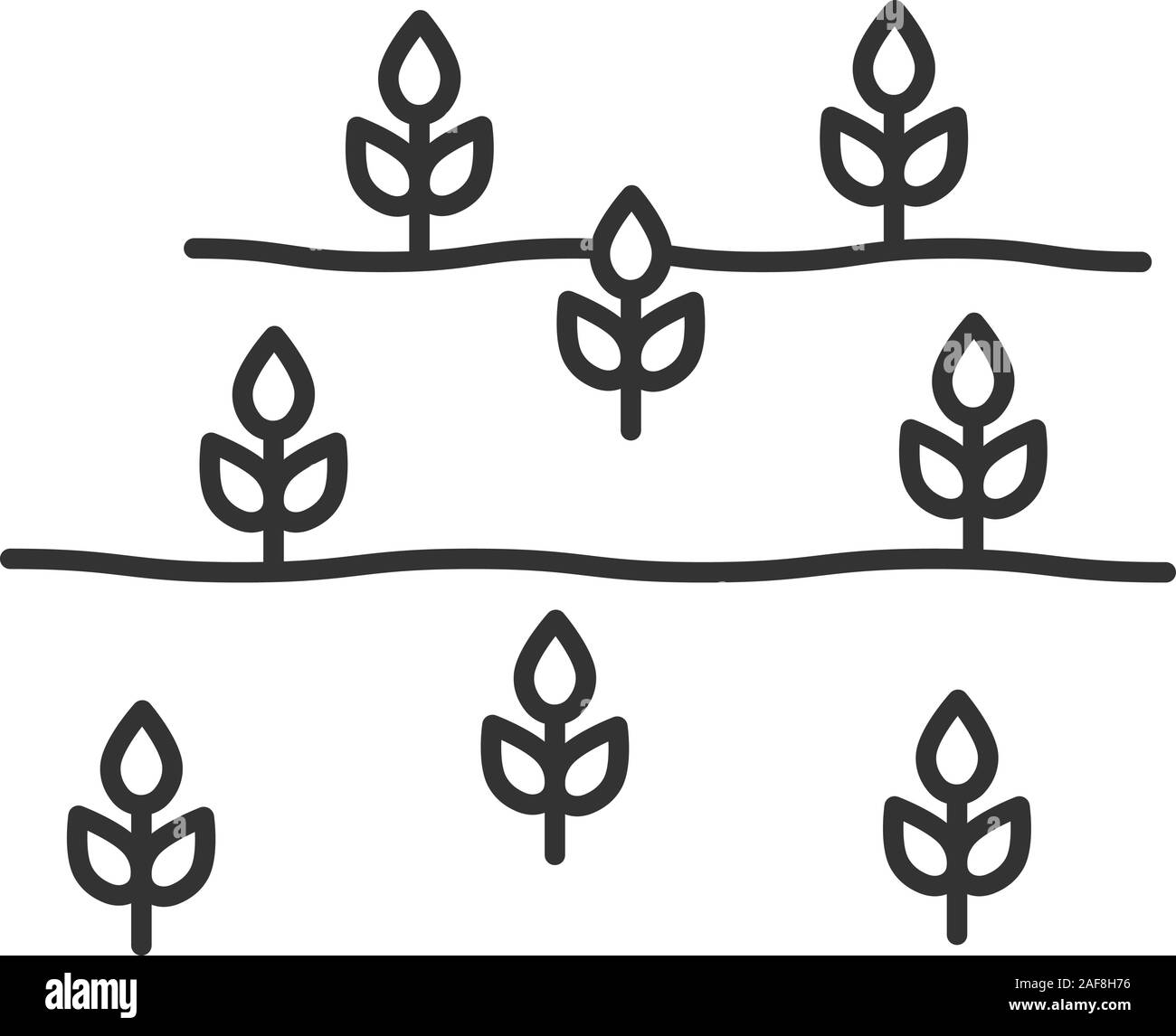 Icône linéaire sur le terrain. Plantule. Blé, maïs. Fine ligne ...