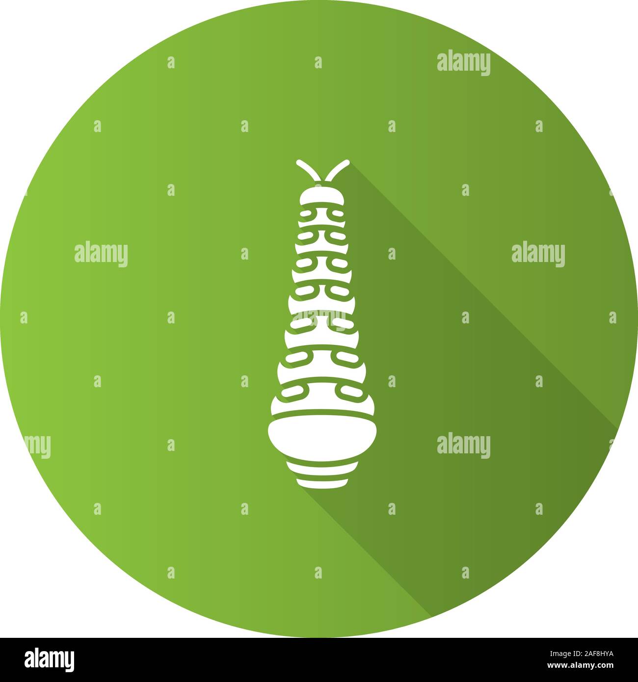 Caterpillar Modèle plat long shadow glyphe icons set. Stade de larves ...