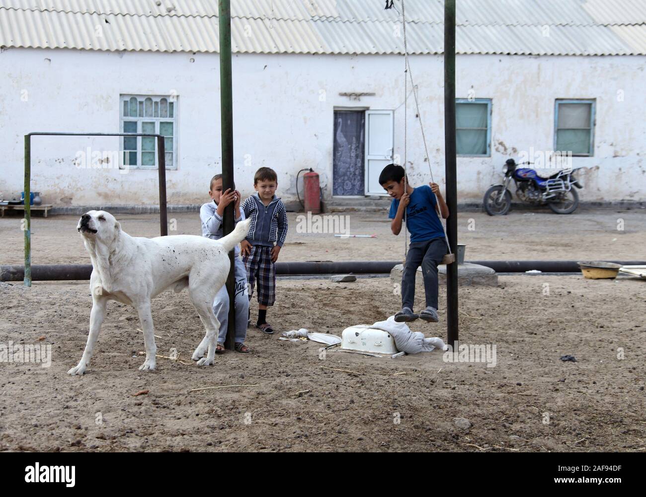 Désert de karakum Banque de photographies et d’images à haute ...