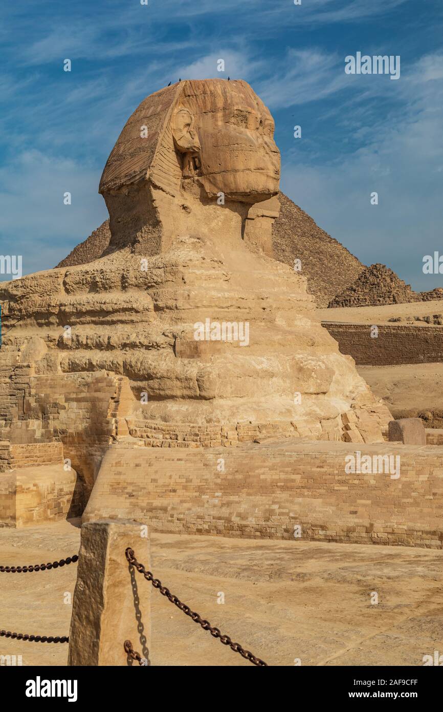 L'Afrique, l'Egypte, Le Caire. Plateau de Gizeh. Grand Sphinx de Gizeh ...