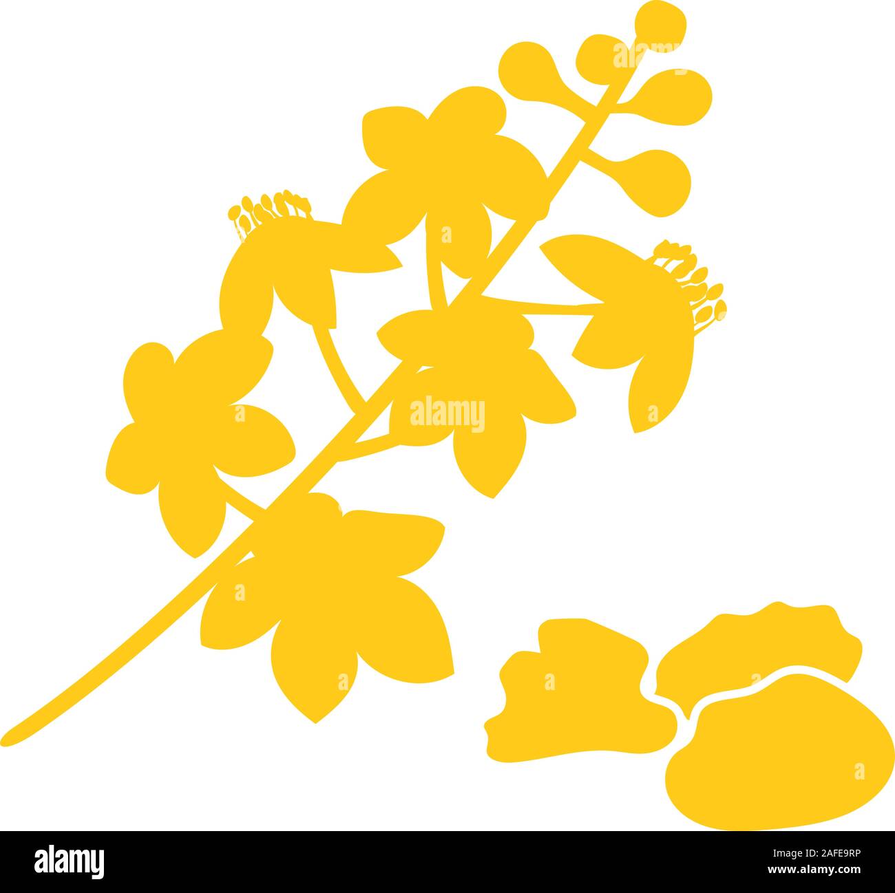 Socotra arbre Banque d'images vectorielles - Alamy