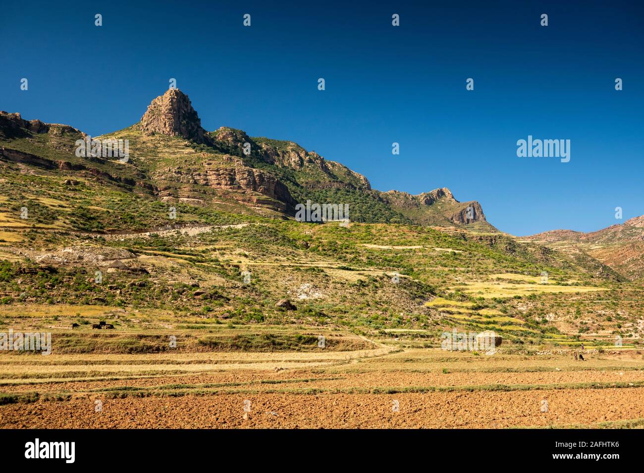 Ethiopia famine 1984 Banque de photographies et d’images à haute ...