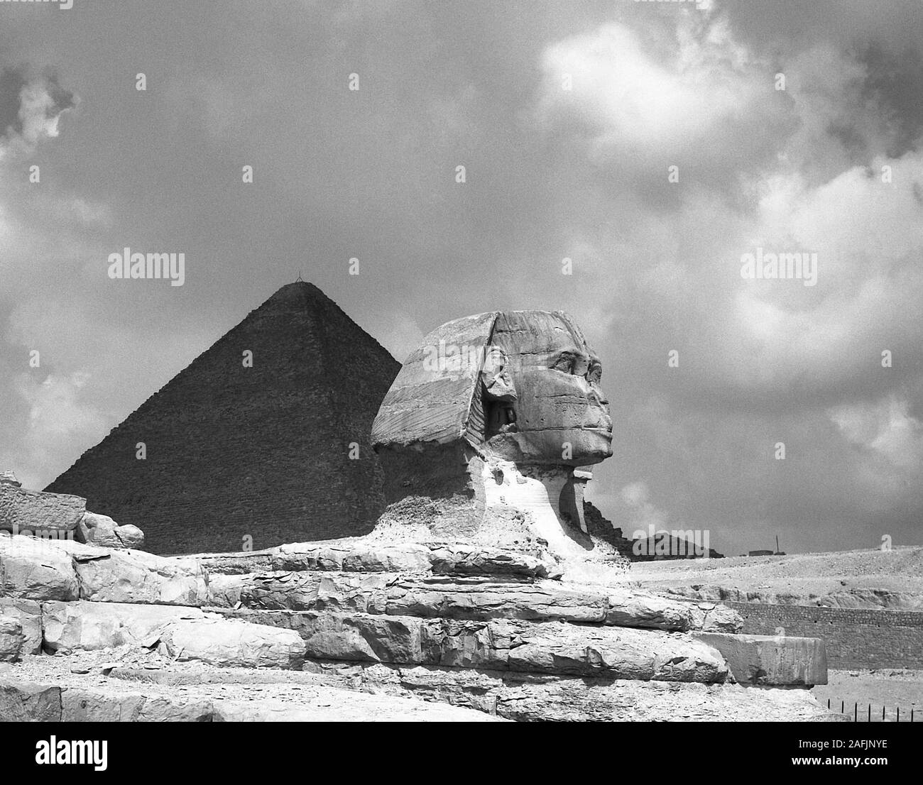 Grand sphinx gizeh Banque d'images noir et blanc - Alamy
