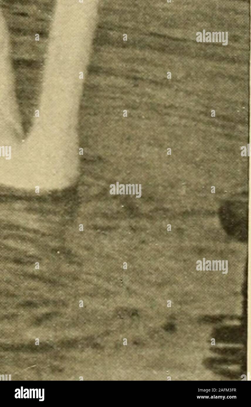 Briar patch Banque de photographies et d’images à haute résolution - Alamy