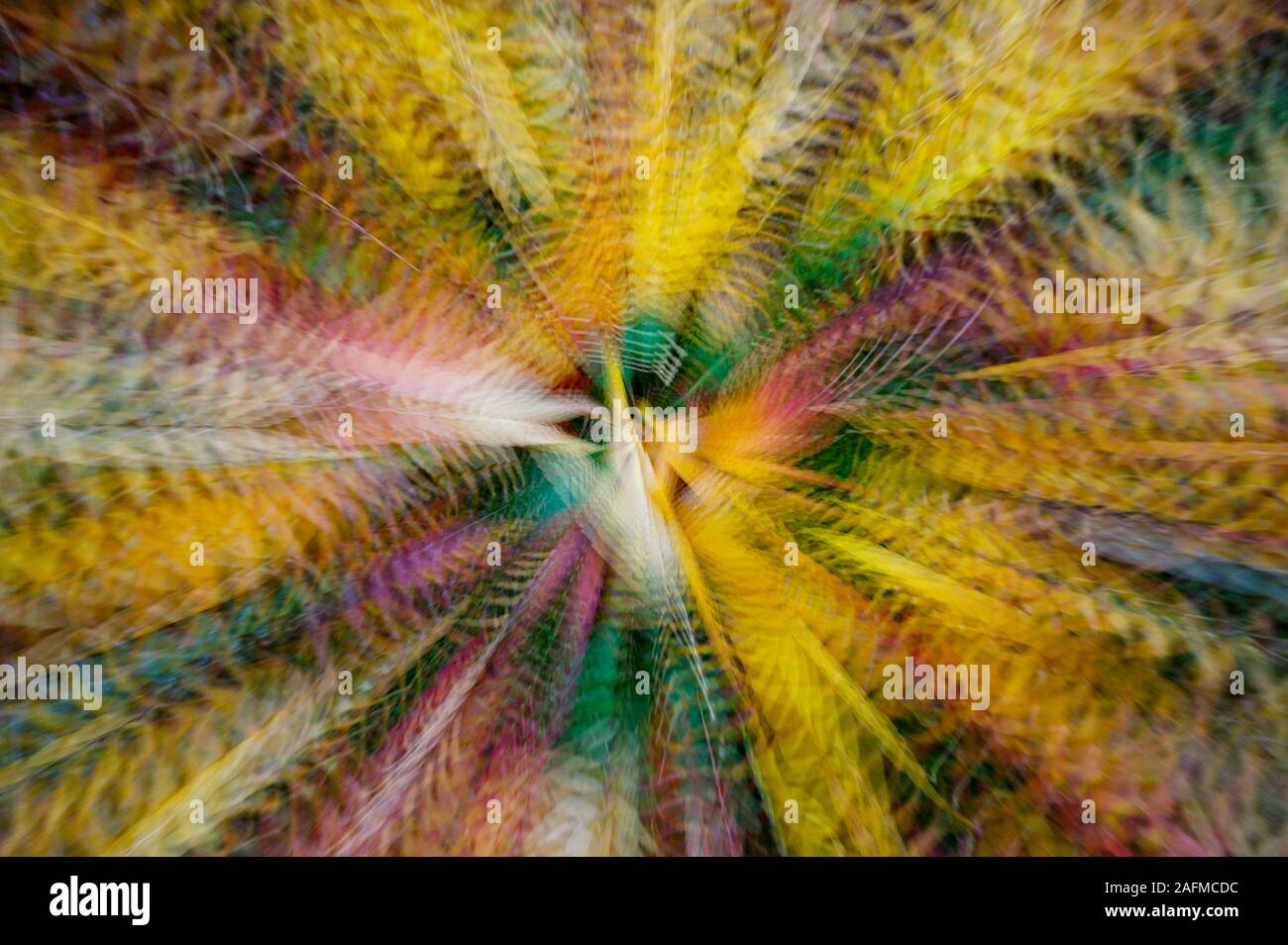 Camera zoom Banque de photographies et d’images à haute résolution - Alamy