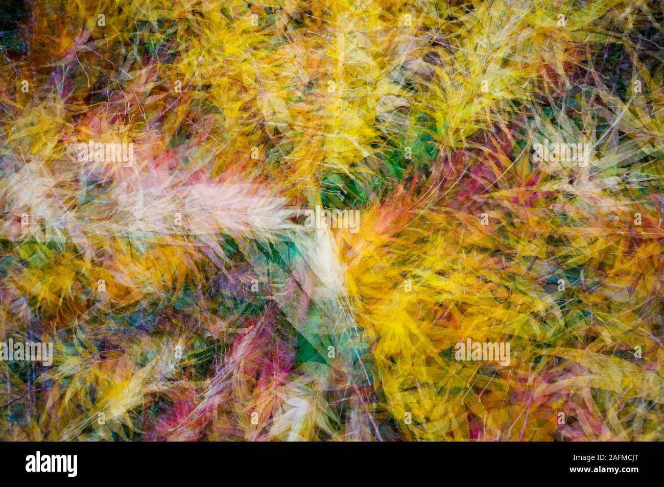 Camera zoom Banque de photographies et d’images à haute résolution - Alamy