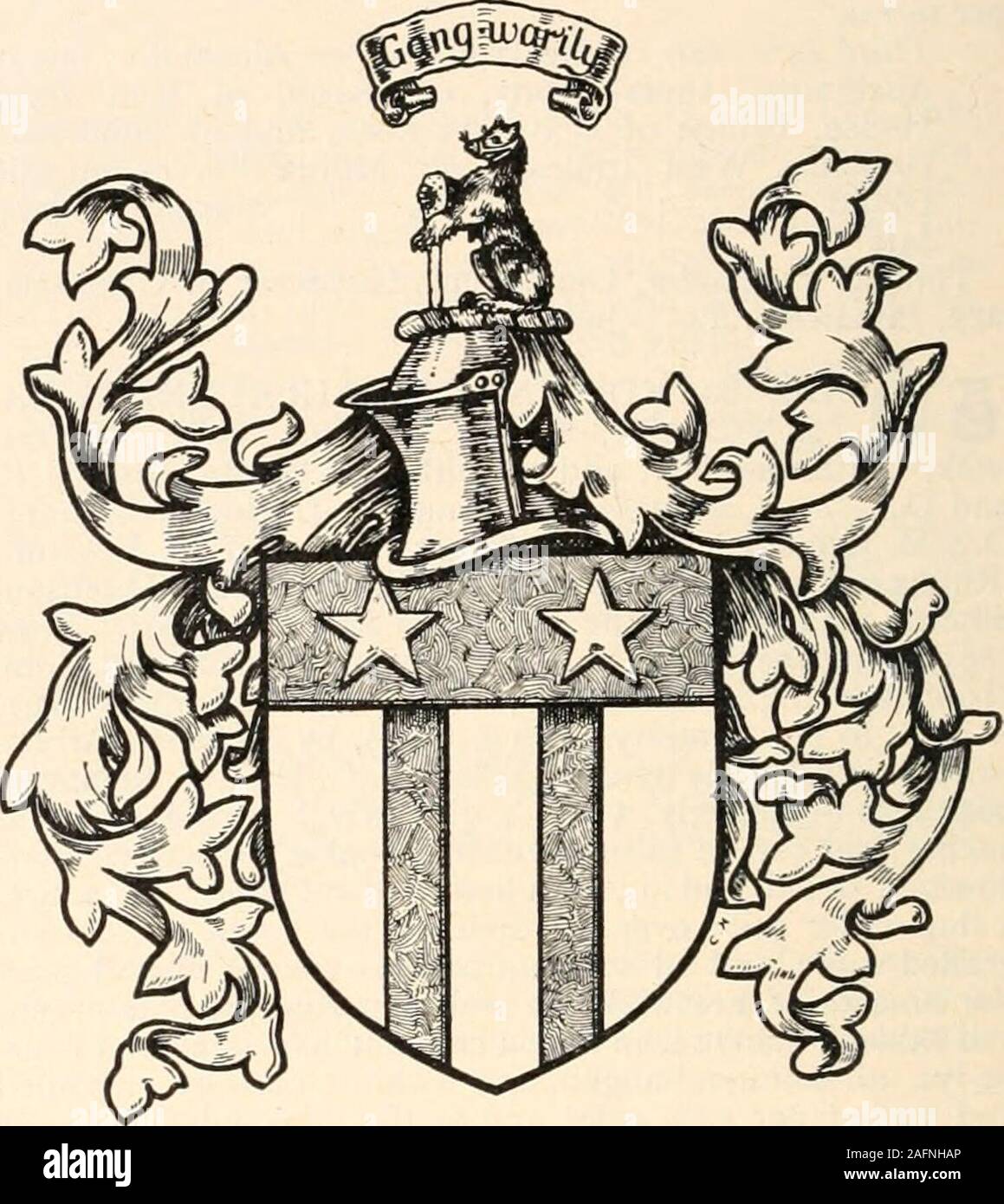 Aigle de sable Banque de photographies et d’images à haute résolution ...