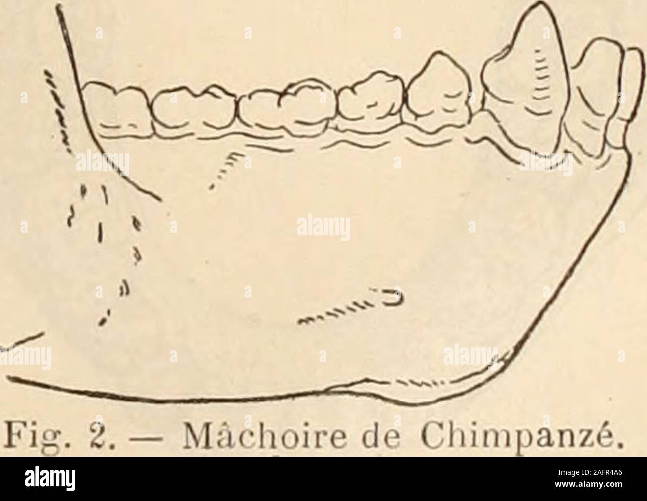 . La grande encyclopédie, inventaire raisonné des sciences, des lettres ...