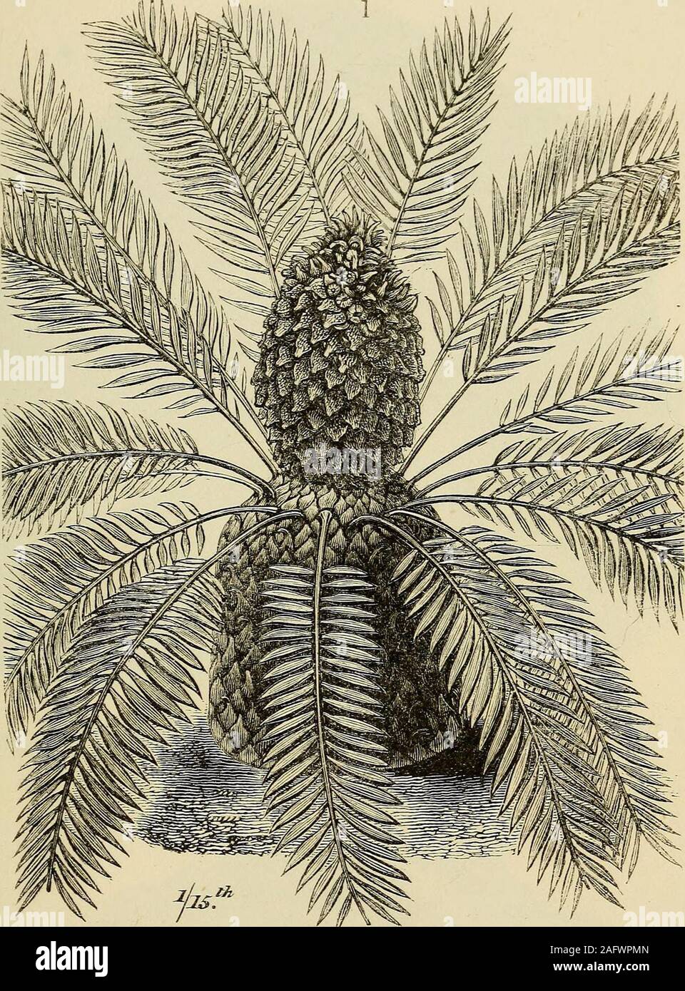 . Géologie et minéralogie examinée par rapport à la théologie naturelle ...