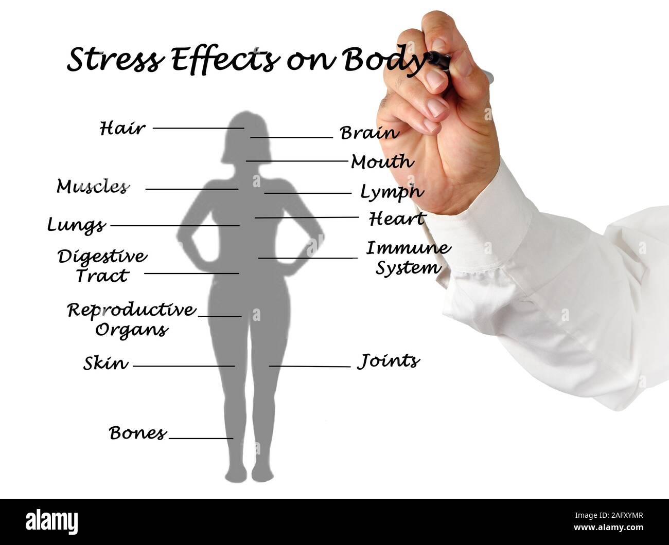 Les effets du stress sur le corps Photo Stock - Alamy