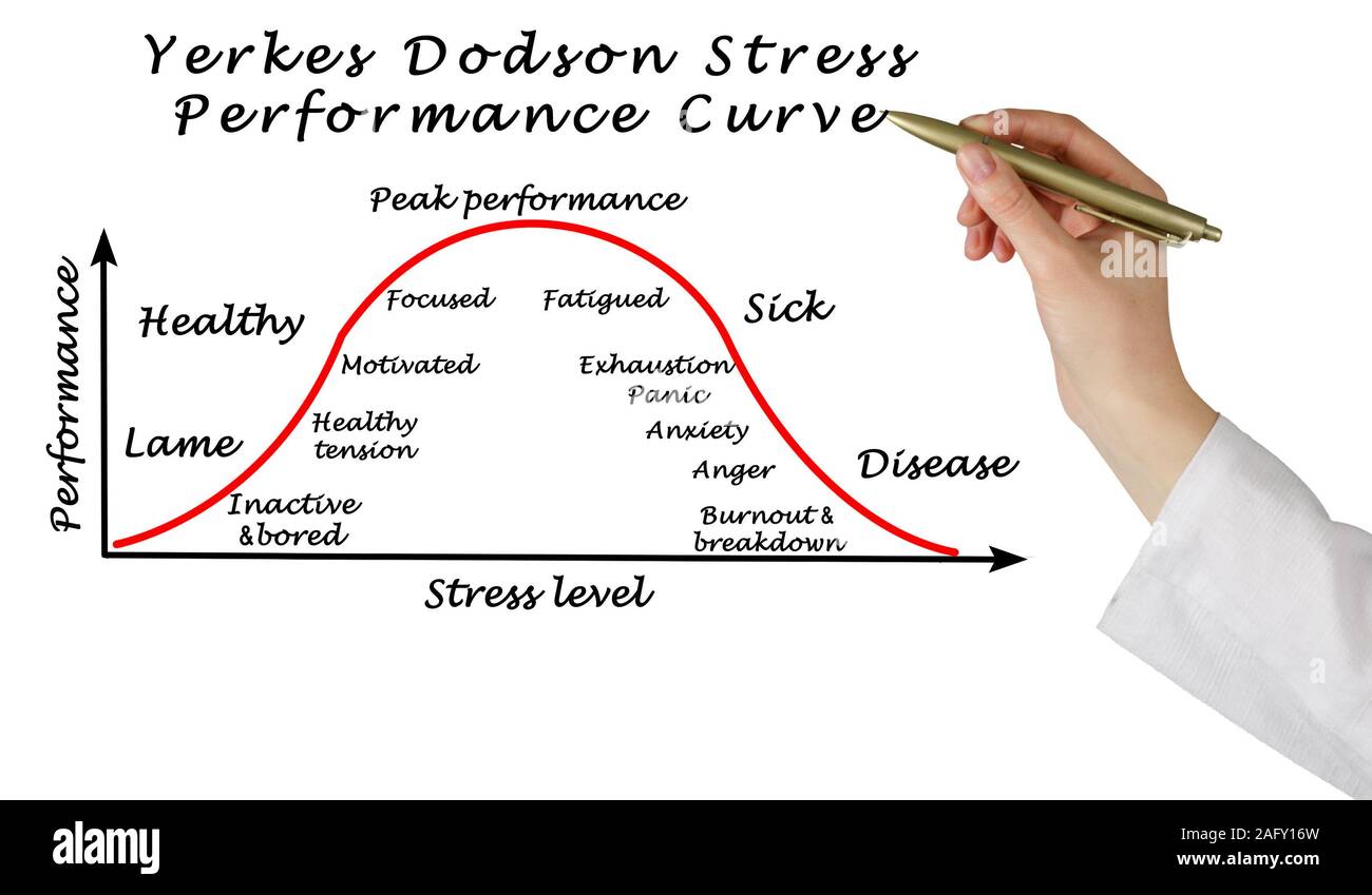 Courbe de Performance Stress Yerkes Dodson Photo Stock - Alamy