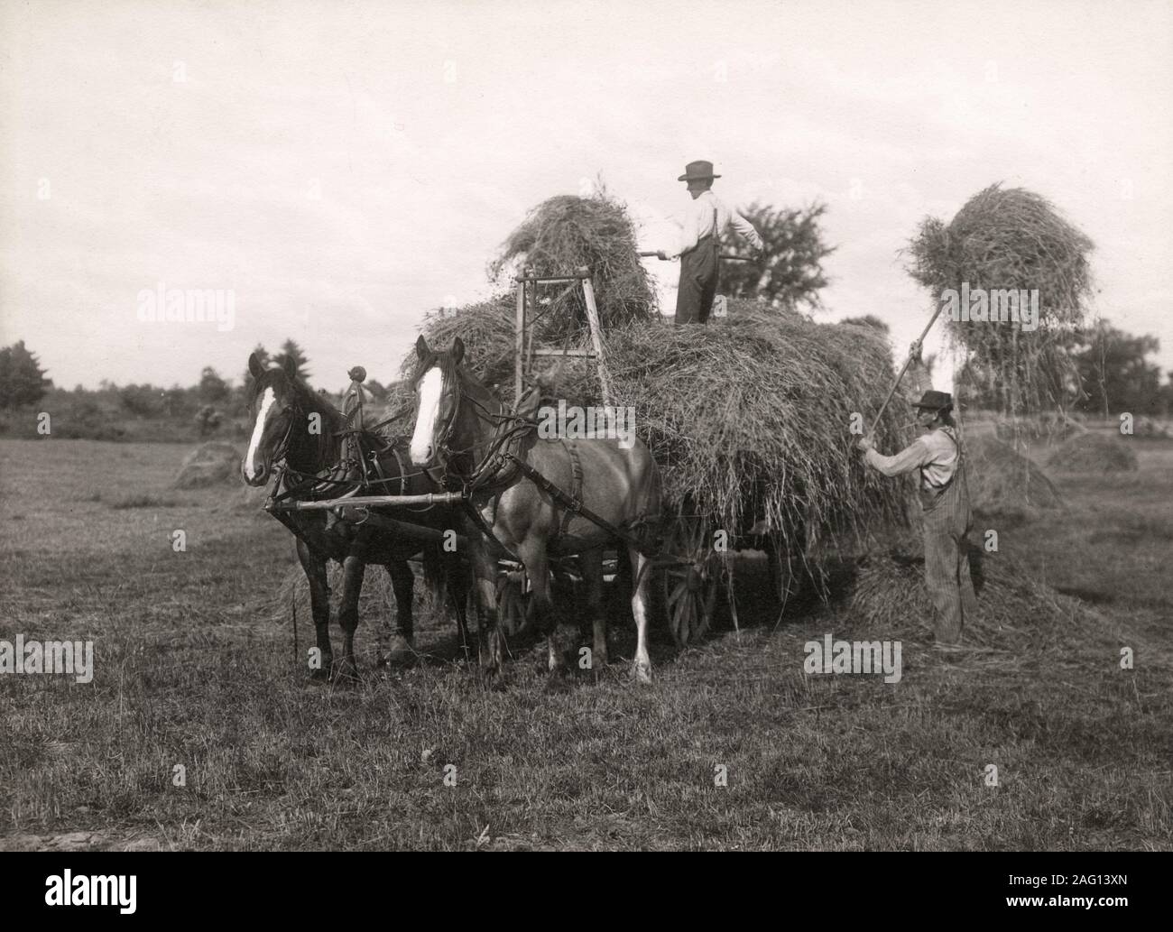 Charrette tirée par des chevaux Banque de photographies et d’images à ...