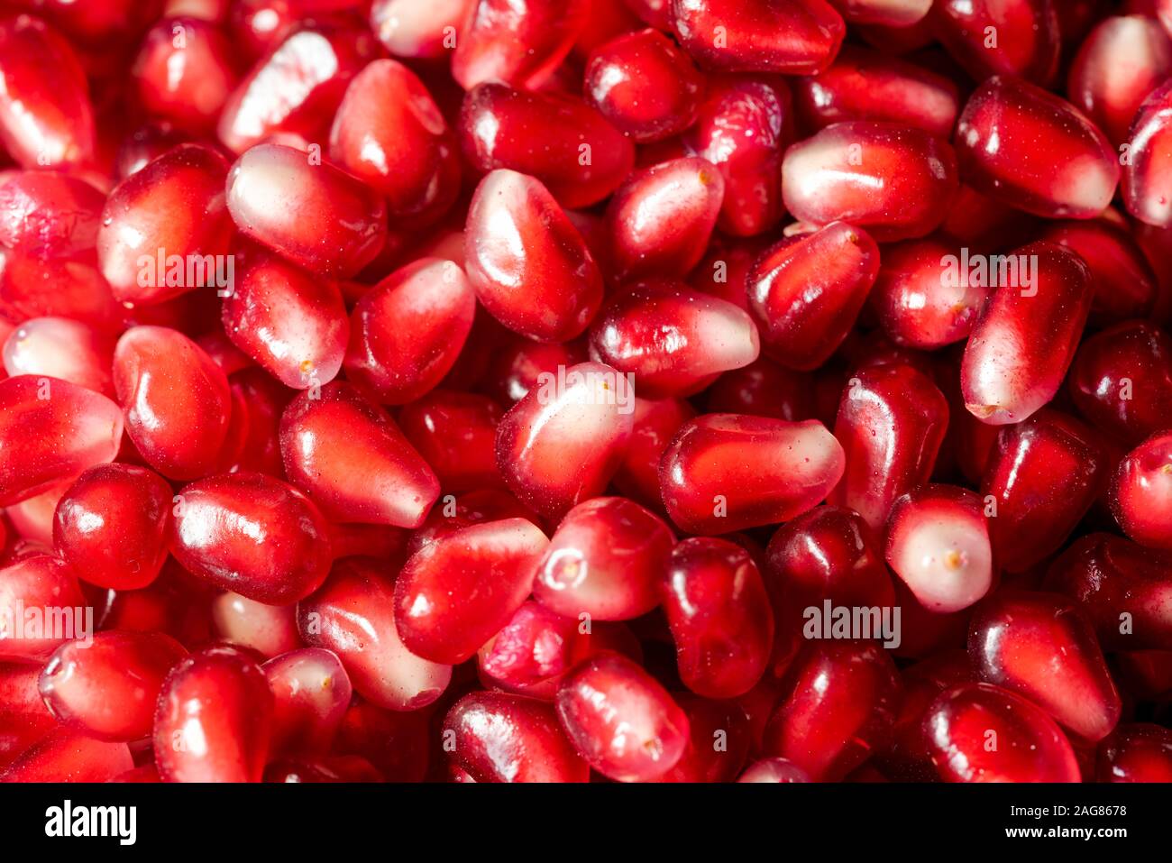 Fruit rouge amer Banque de photographies et d’images à haute résolution ...