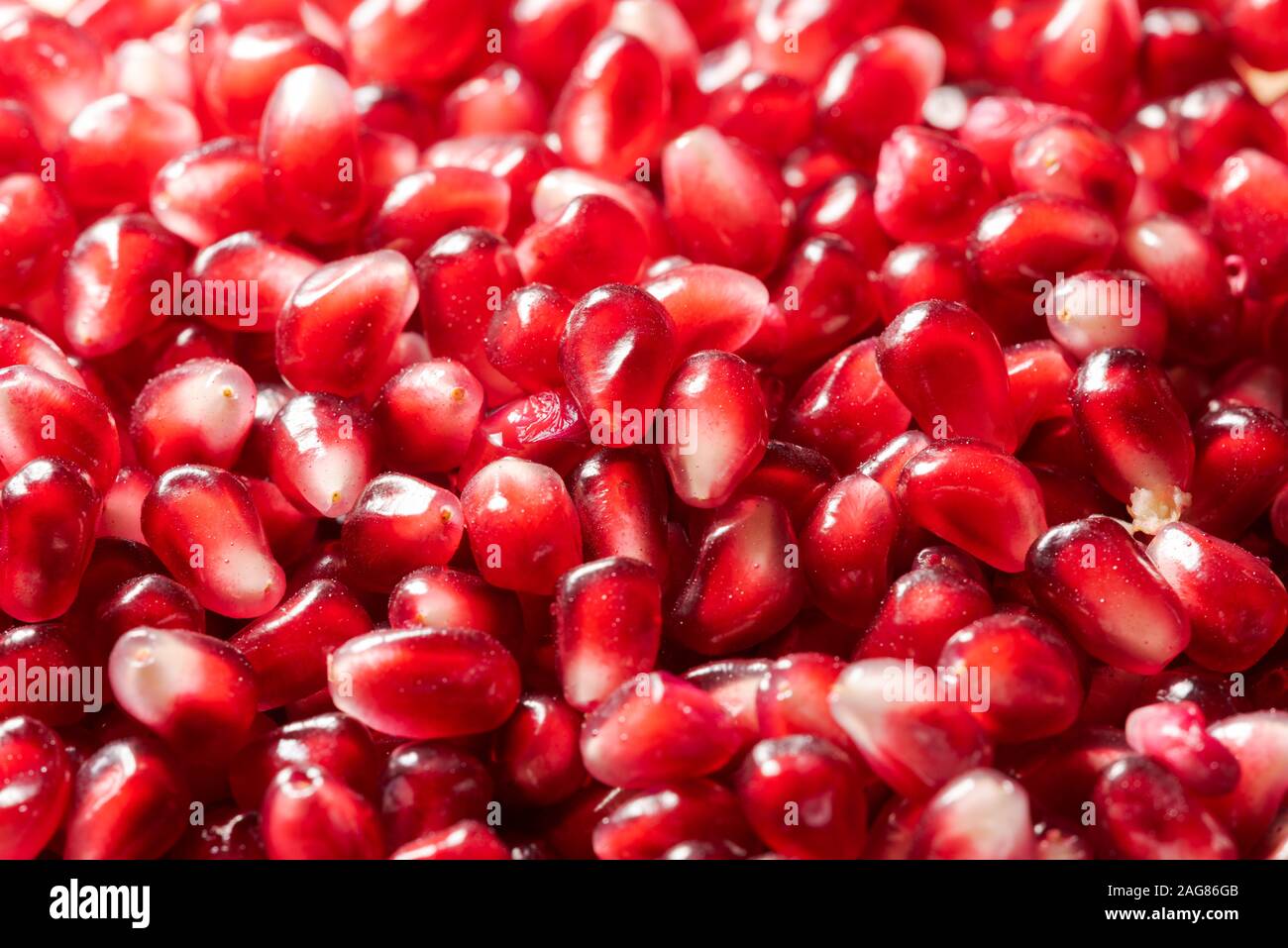 Fruit rouge amer Banque de photographies et d’images à haute résolution ...