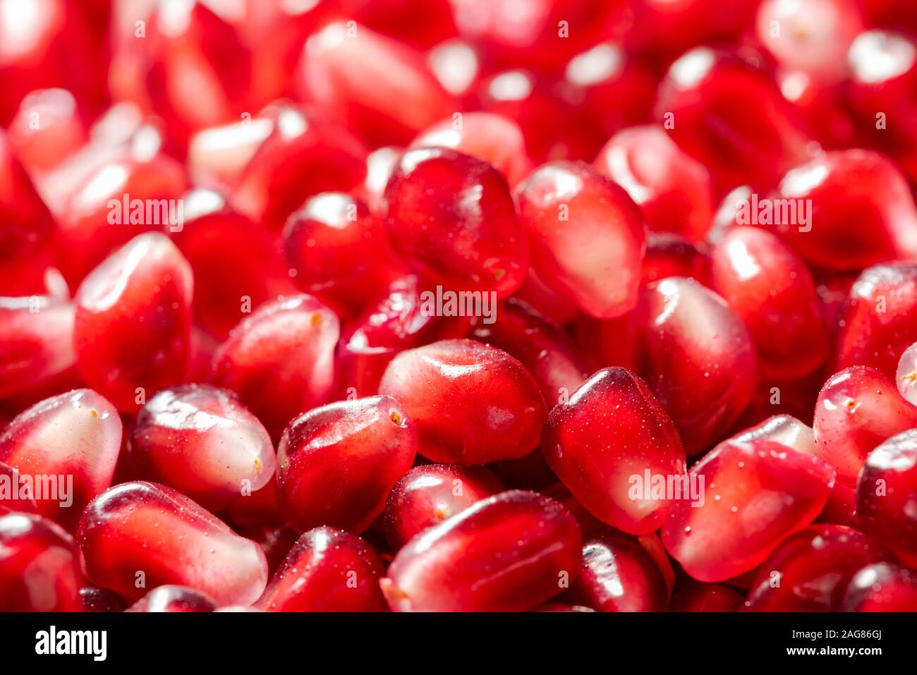 Fruit rouge amer Banque de photographies et d’images à haute résolution ...