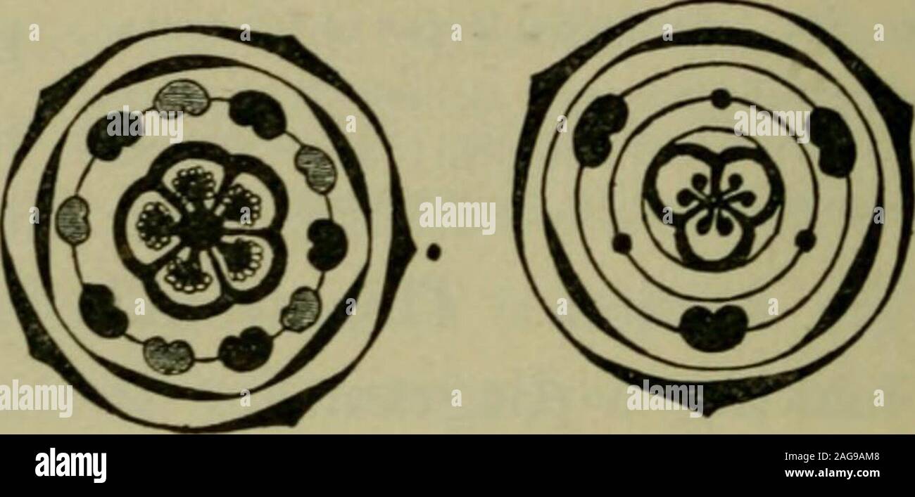 . Fondements de la botanique. I II III Fig. 157. - Schéma du Cross ...