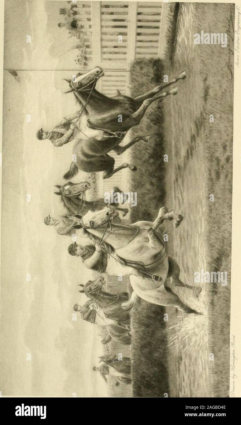 Jem marsh Banque de photographies et d’images à haute résolution - Alamy