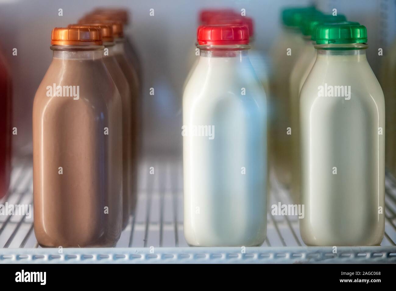 Différents types de lait en bouteille d'être réfrigéré, Colora ...