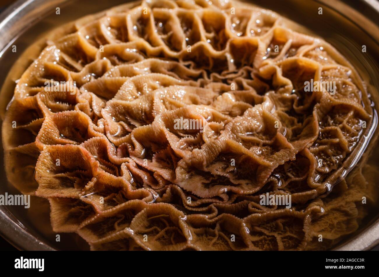 Cow stomach Banque de photographies et d’images à haute résolution - Alamy
