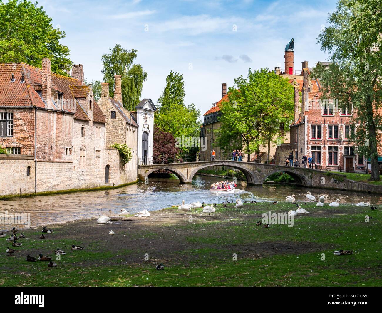 Les gens en bateau, Wijngaard Pont sur canal et les oiseaux en parc de ...