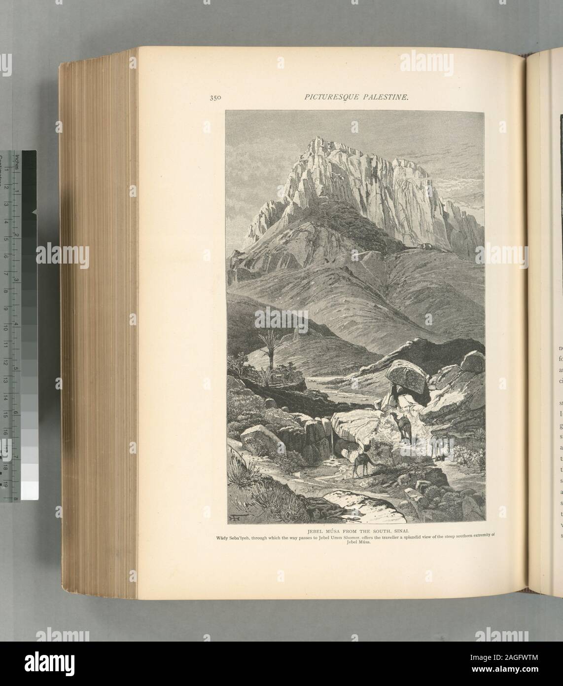 Le colonel Wilson, éd. ; Djebel Músa depuis le sud, le Sinaï. Wâdy Seba ...