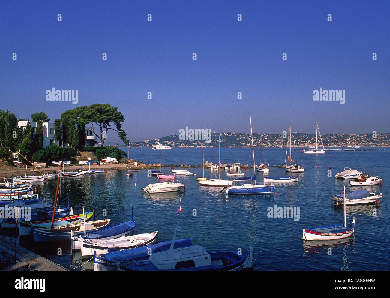 Abri de la mini port typiquement méditerranéen avec Olivette bateaux ...
