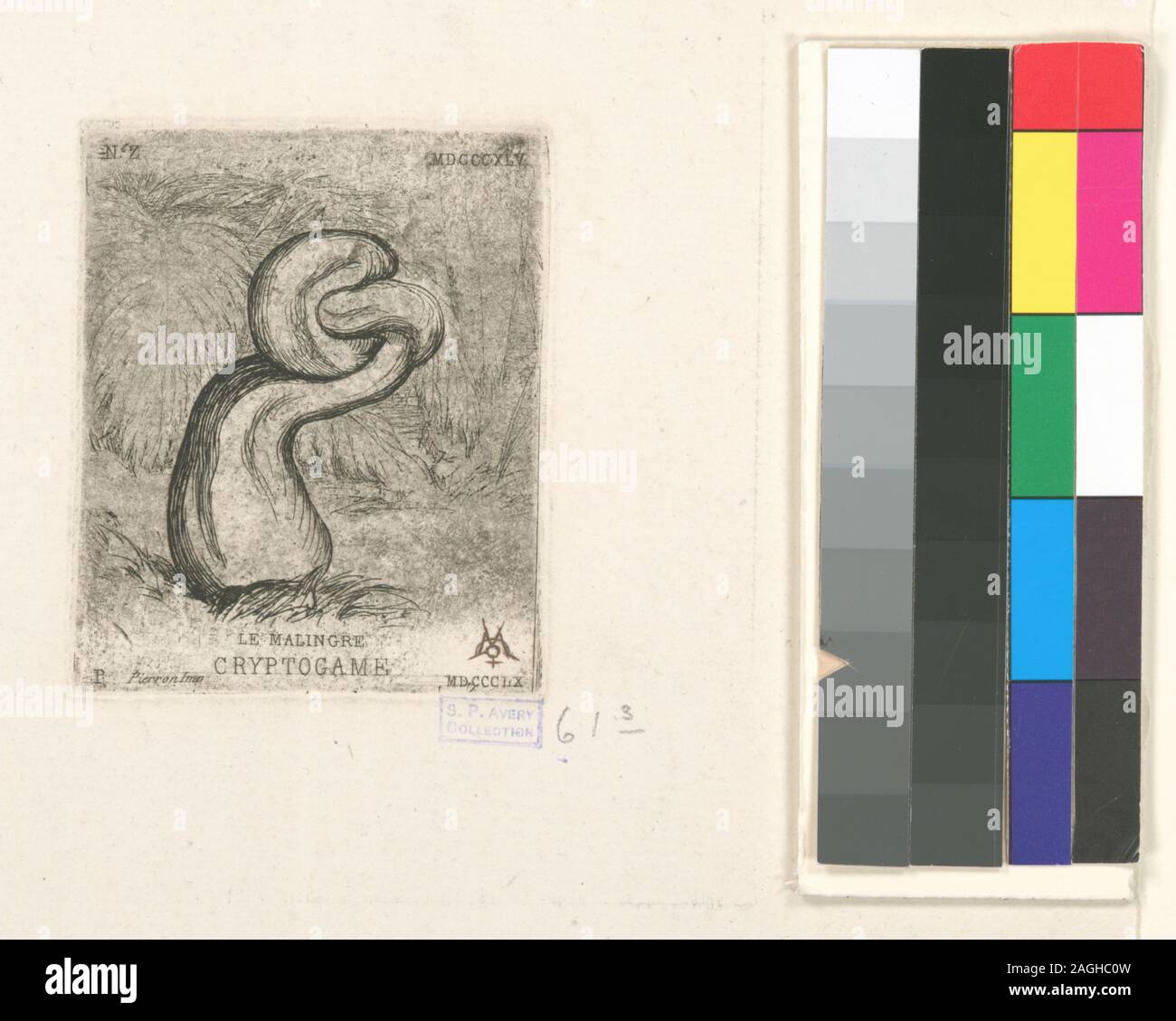 Plages de la tonga Banque de photographies et d’images à haute ...