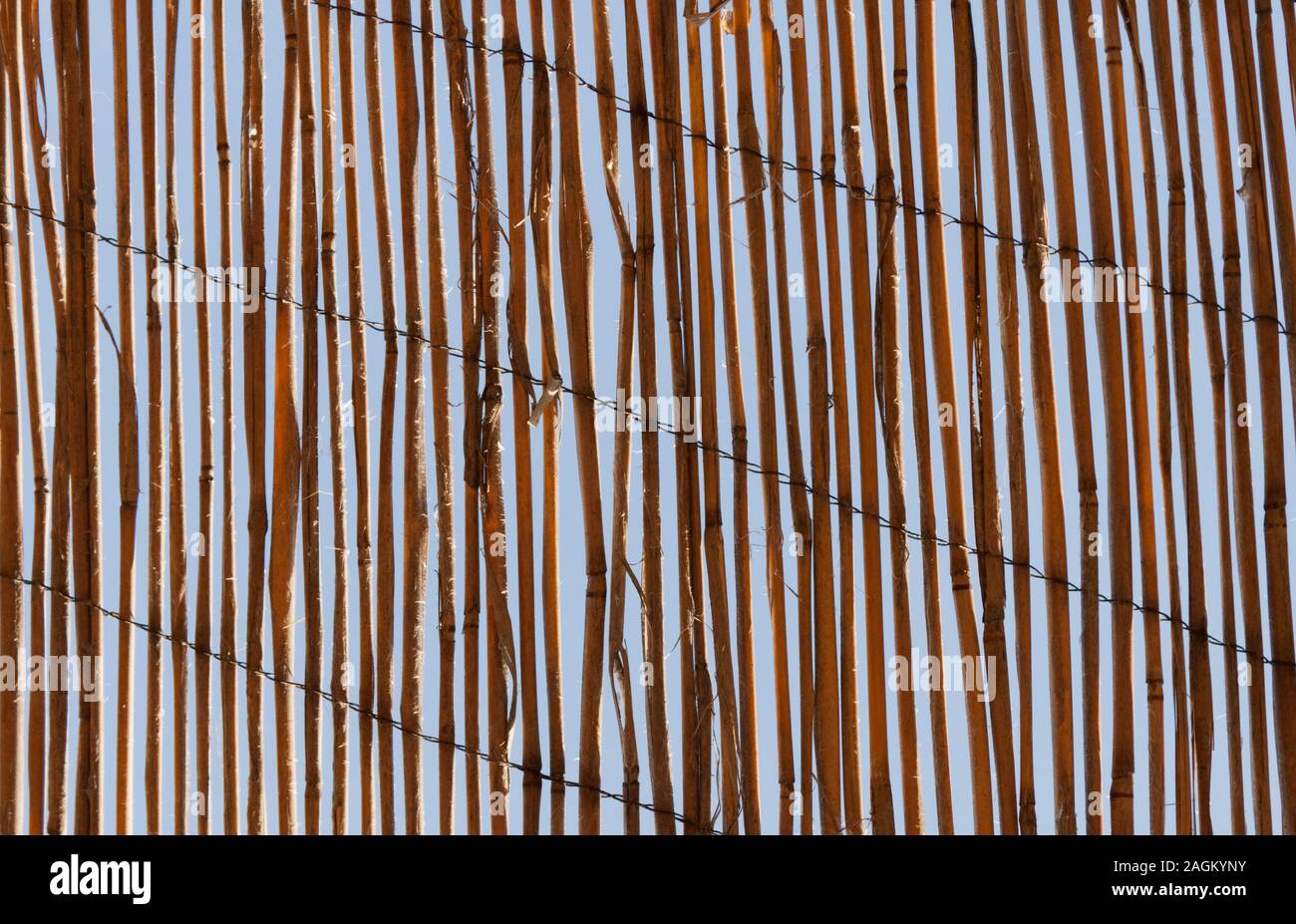 Texture de chaume Banque de photographies et d’images à haute ...