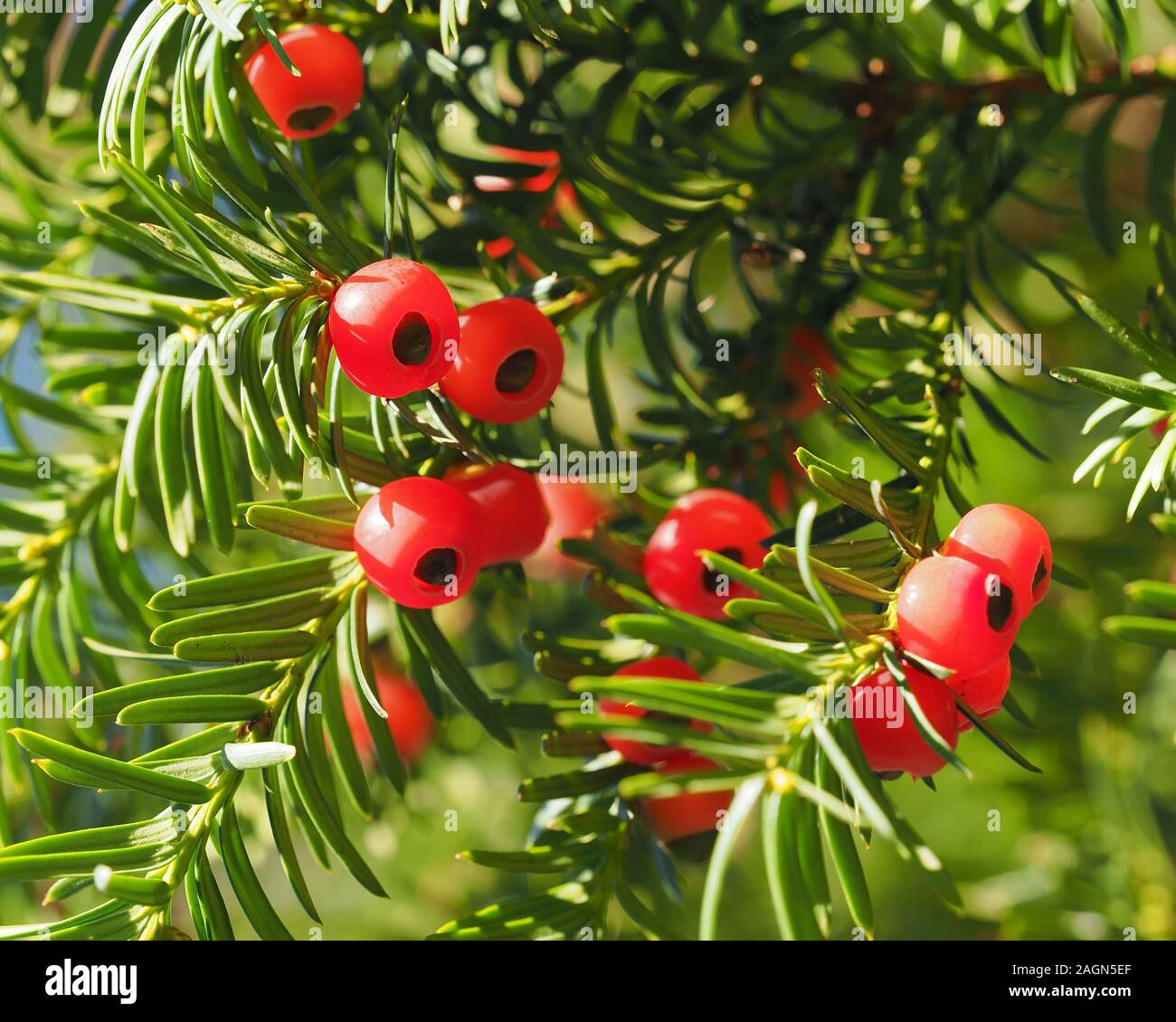 Baies en irlande Banque de photographies et d’images à haute résolution ...