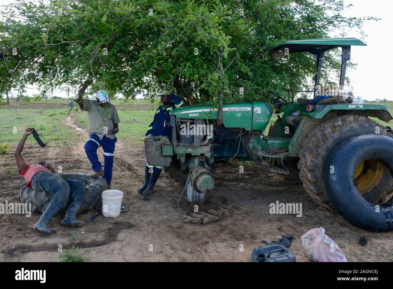 La ZAMBIE, Mazabuka, moyen agriculteur avec tracteur John Deere ...