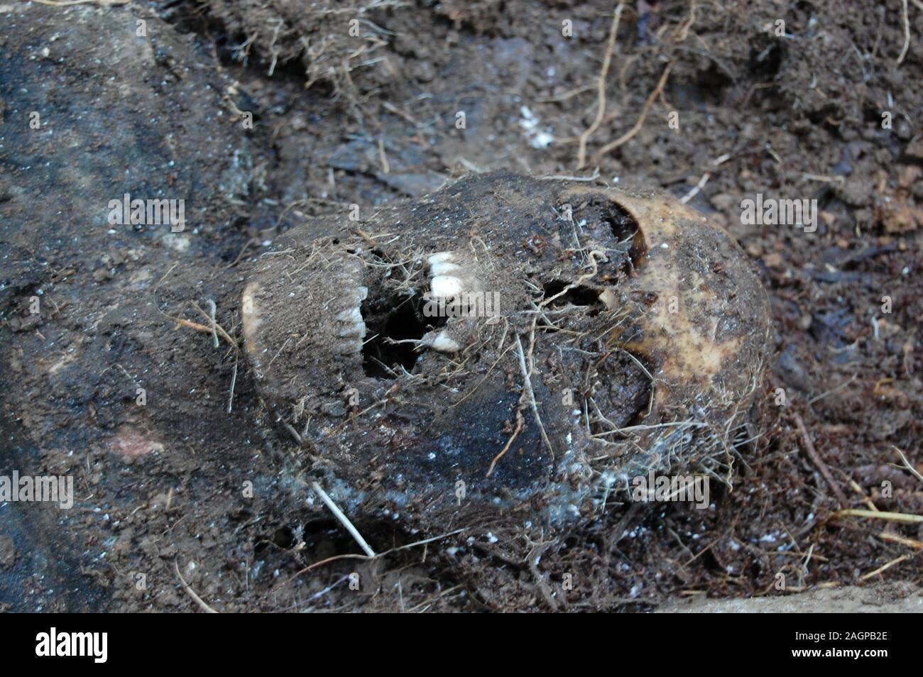 Decompose body farm Banque de photographies et d’images à haute ...