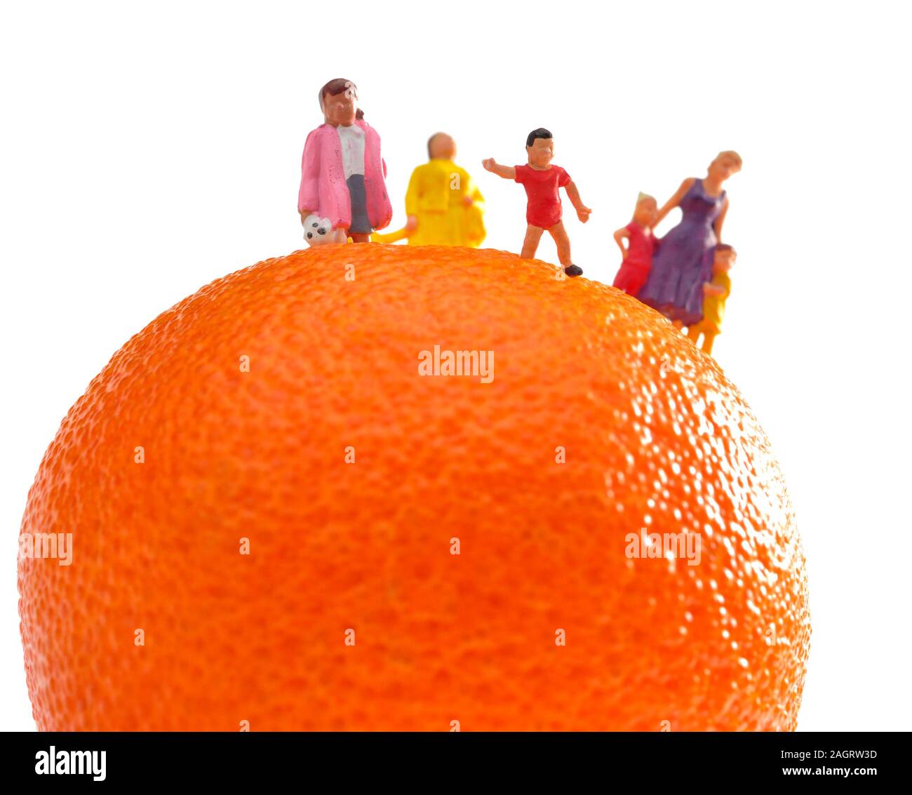Orange fruit miniature Banque de photographies et d’images à haute ...