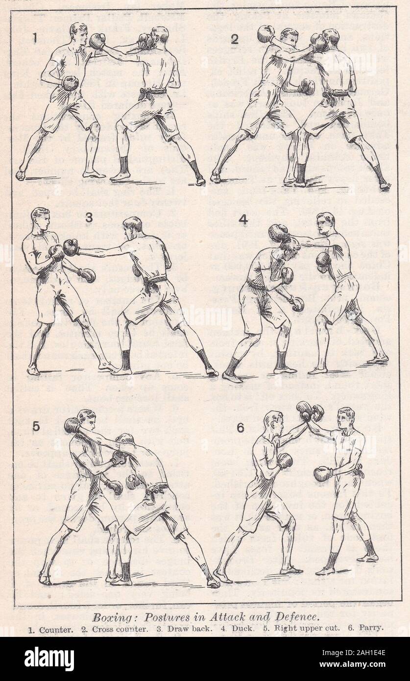 1900's boxing Banque de photographies et d’images à haute résolution ...