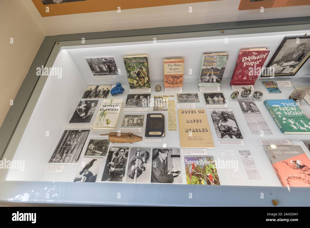 Jersey zoo gerald durrell Banque de photographies et d’images à haute ...