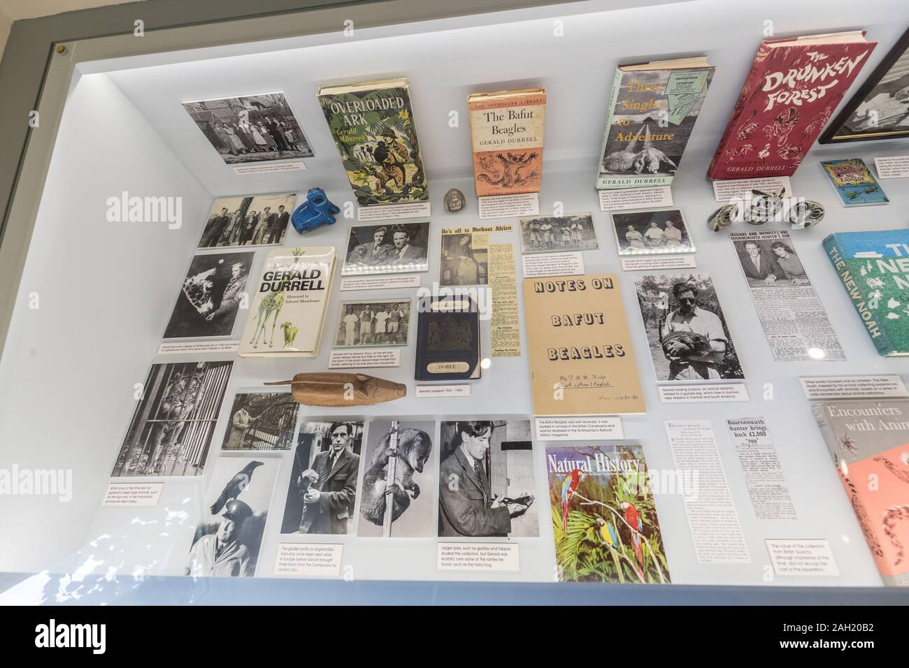 Jersey zoo gerald durrell Banque de photographies et d’images à haute ...