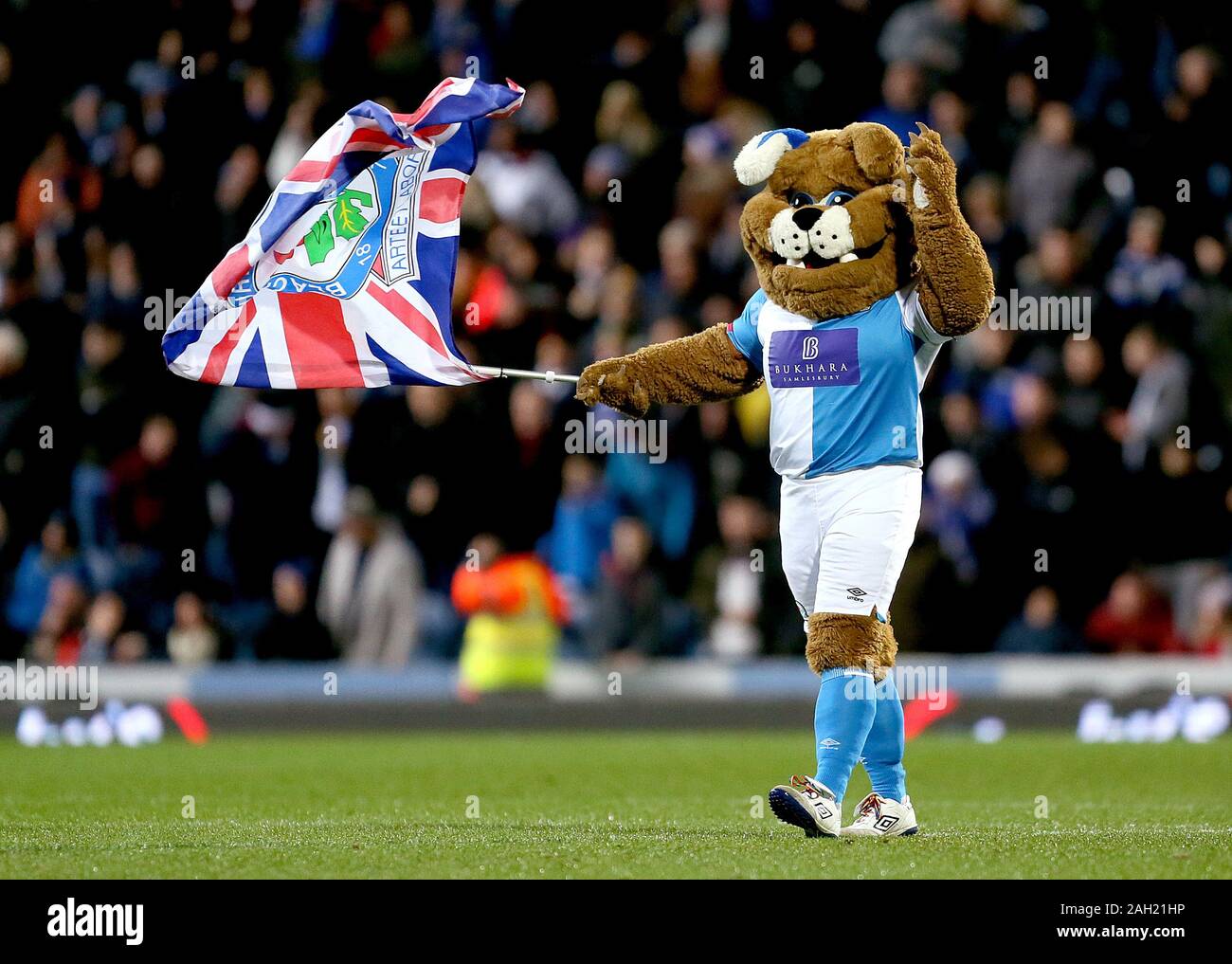 Mascotte chien rover Banque de photographies et d’images à haute ...