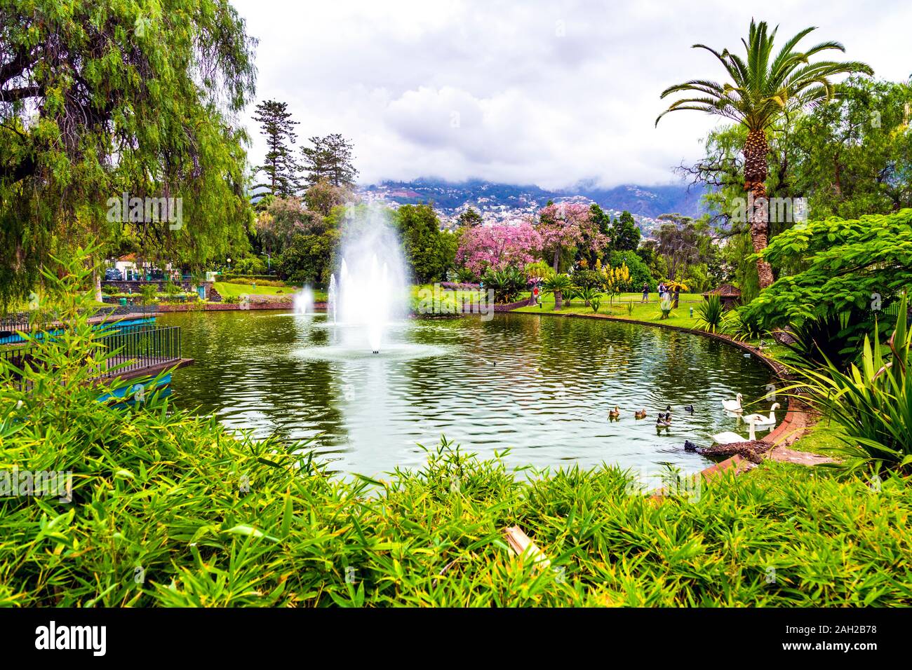 Parque de santa catarina funchal Banque de photographies et d’images à ...