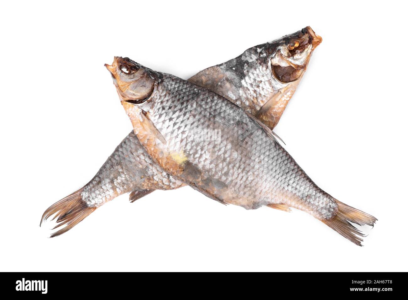 Des poissons pourris Banque de photographies et d’images à haute ...