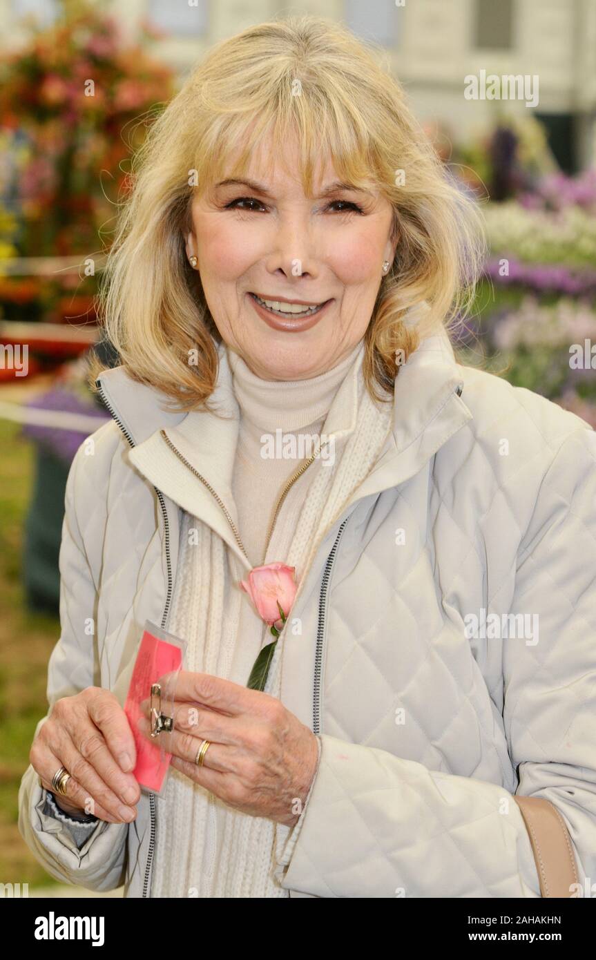 Actress susan hampshire Banque de photographies et d’images à haute ...