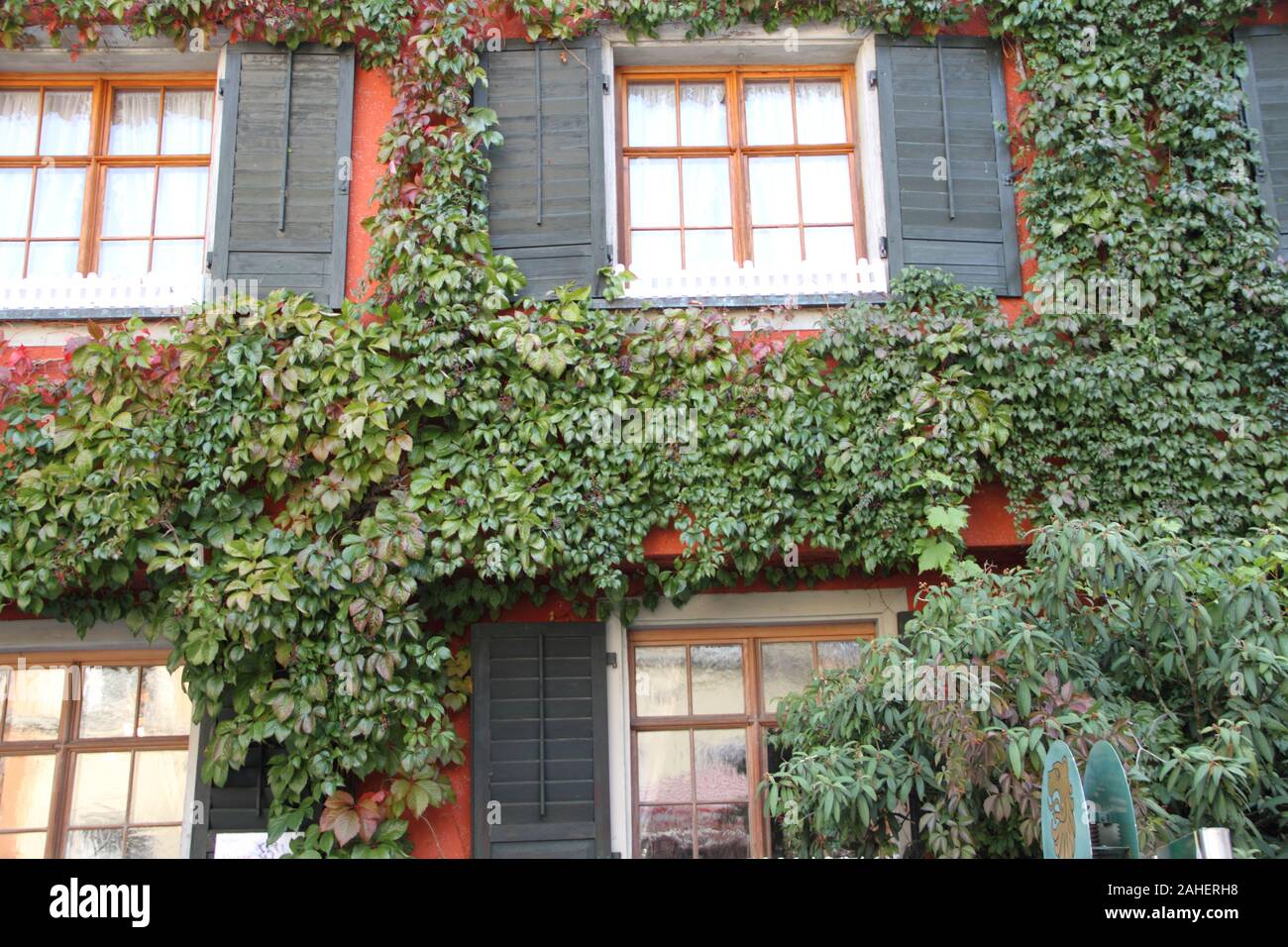 Vieille maison de ville recouverte de lierre Banque de photographies et ...