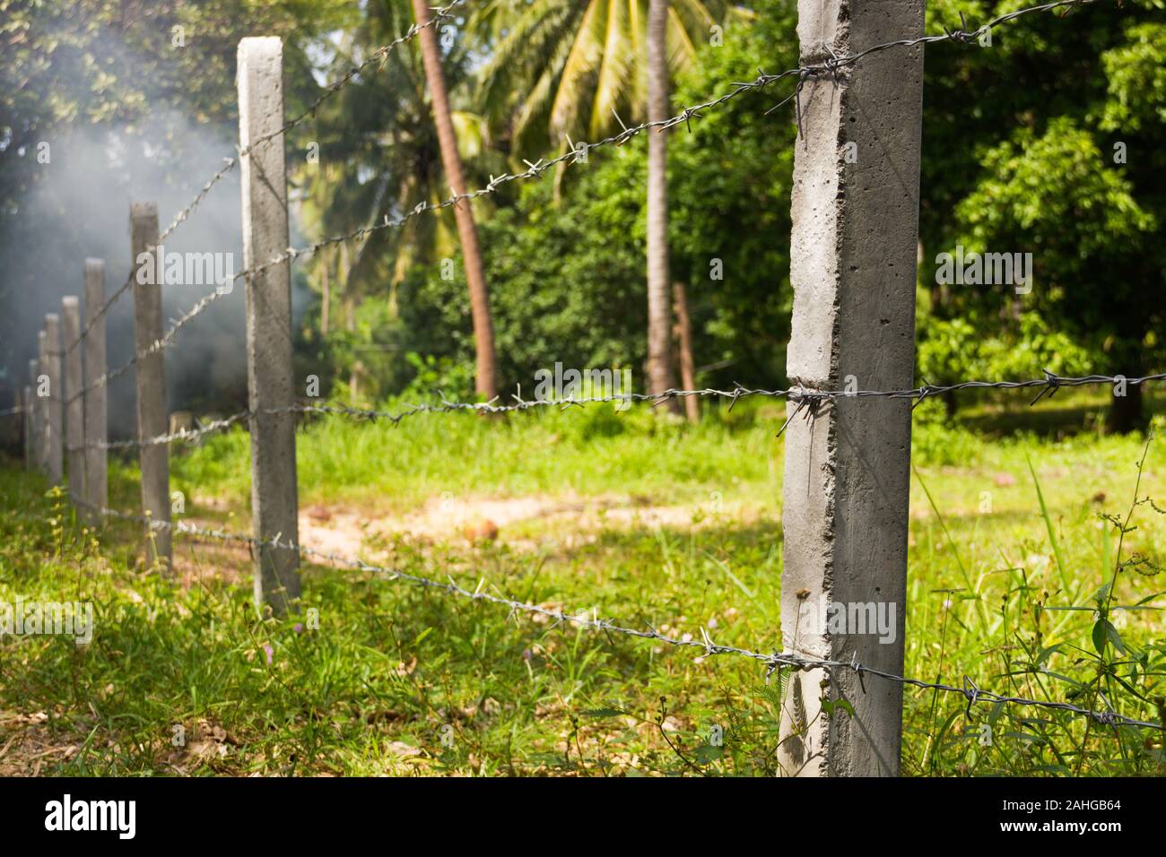Des poteaux en béton s'ériger une clôture de barbelés dans la jungle ...
