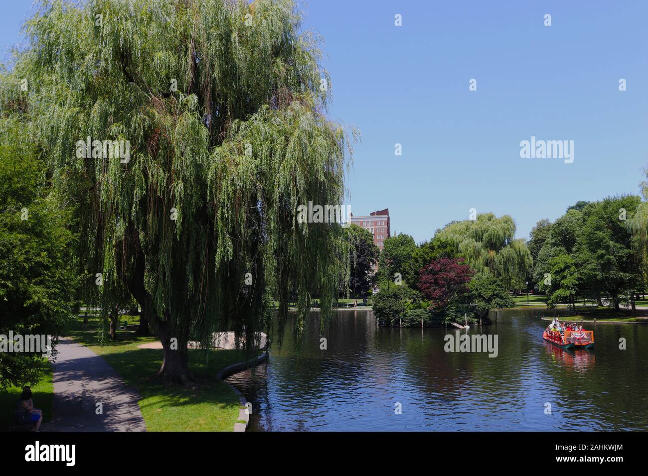 Boston common park summer Banque de photographies et d’images à haute ...