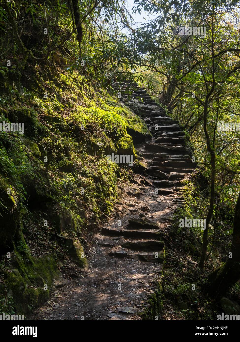 Extérieur Des Escaliers Banque d'image et photos - Alamy