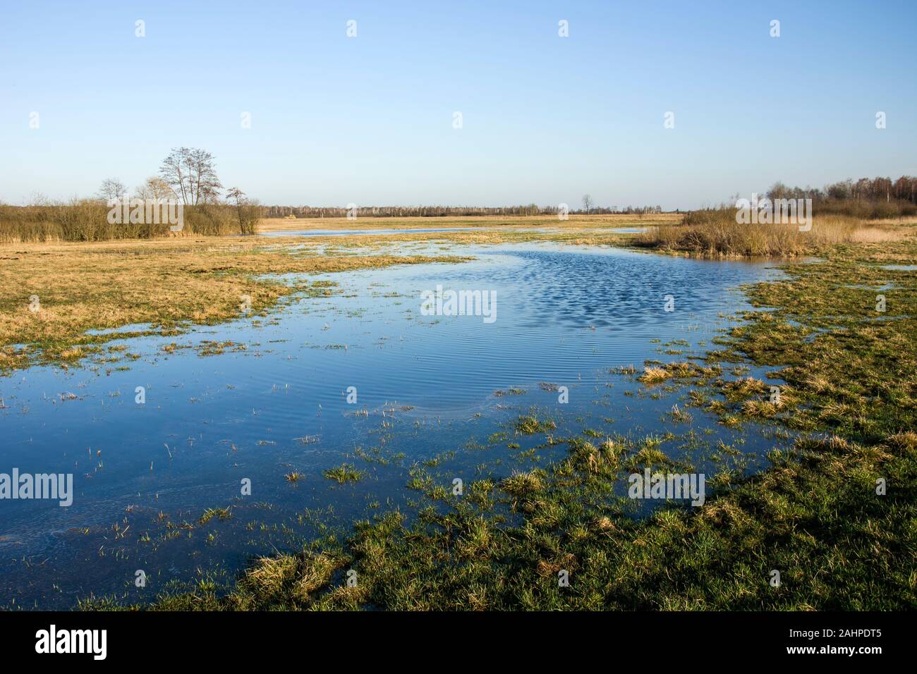 Prairie et zone humide Banque de photographies et d’images à haute ...