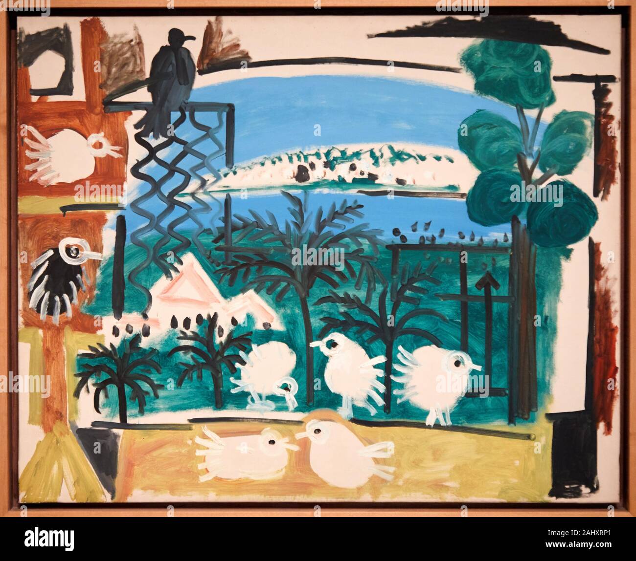 Les pigeons picasso Banque de photographies et d’images à haute ...