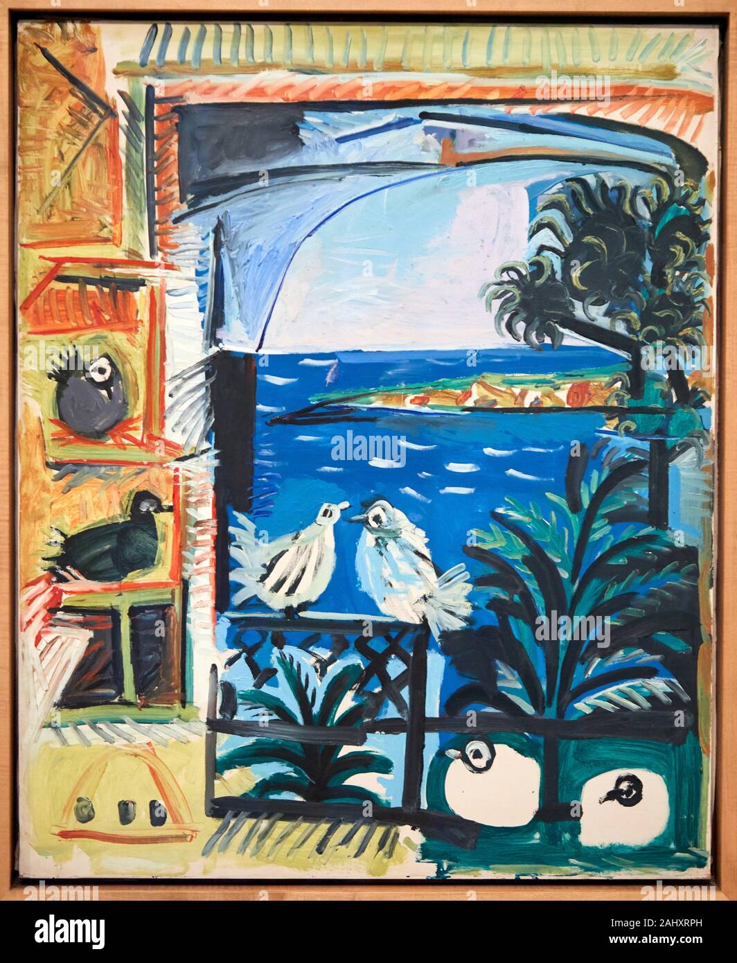 Les pigeons picasso Banque de photographies et d’images à haute ...