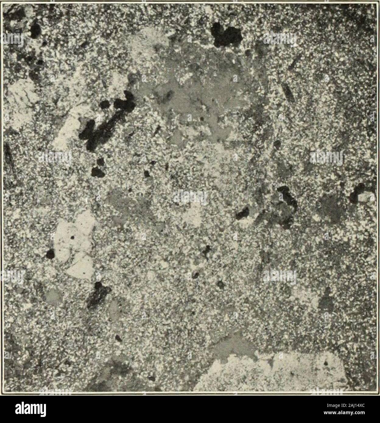 Les gisements du Utah . C. PHOTOMICROGRAPHIE DE MONZONITEPORPHYRY ...
