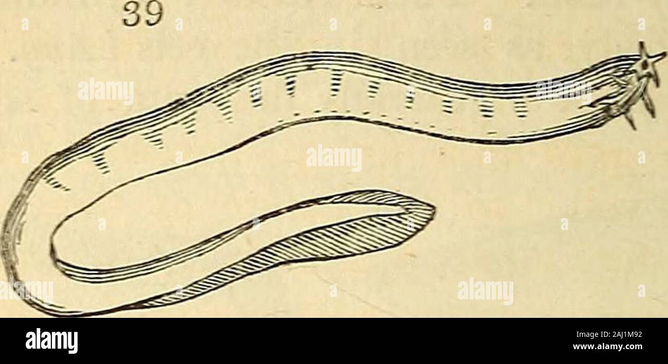 L'histoire naturelle des poissons, amphibiens, reptiles, ou monocardian ...