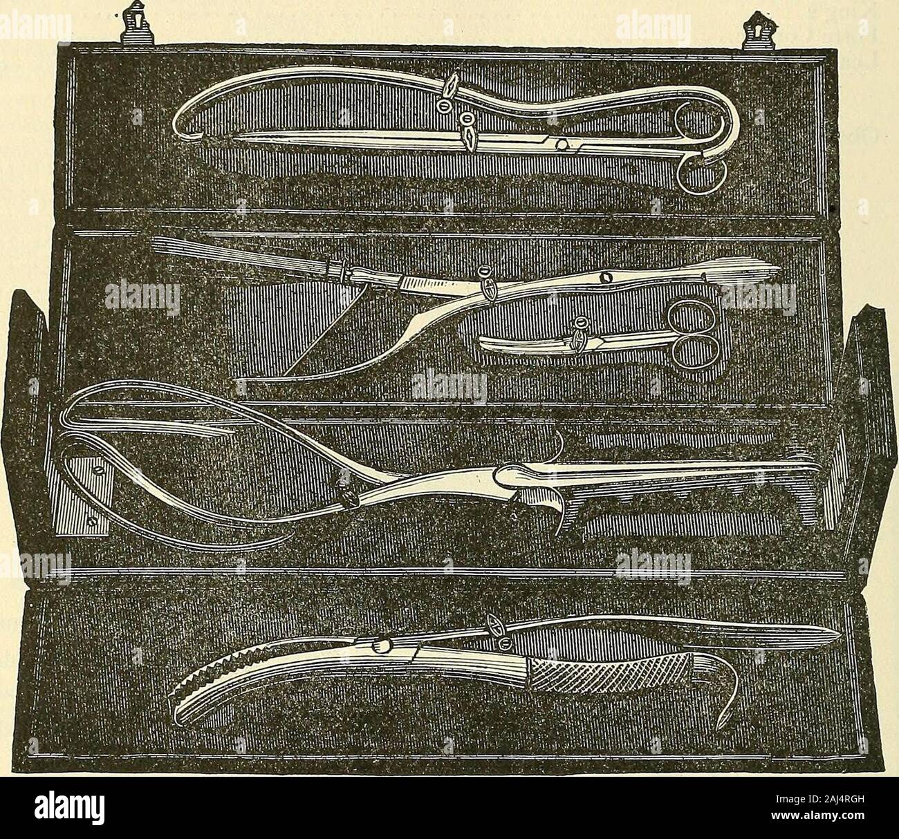 Obstetric forceps Banque de photographies et d’images à haute ...